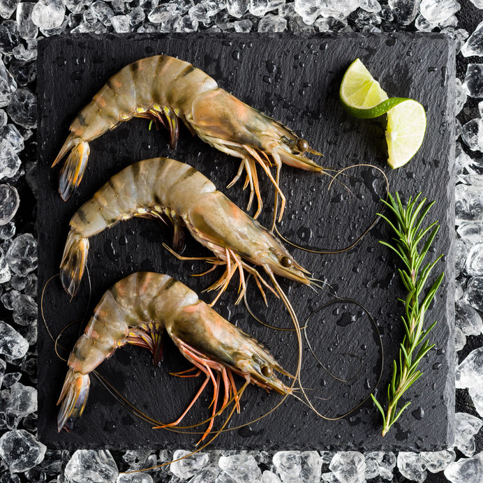 Mangrove Black Tiger Prawns – Captain Haddock Seafood Market