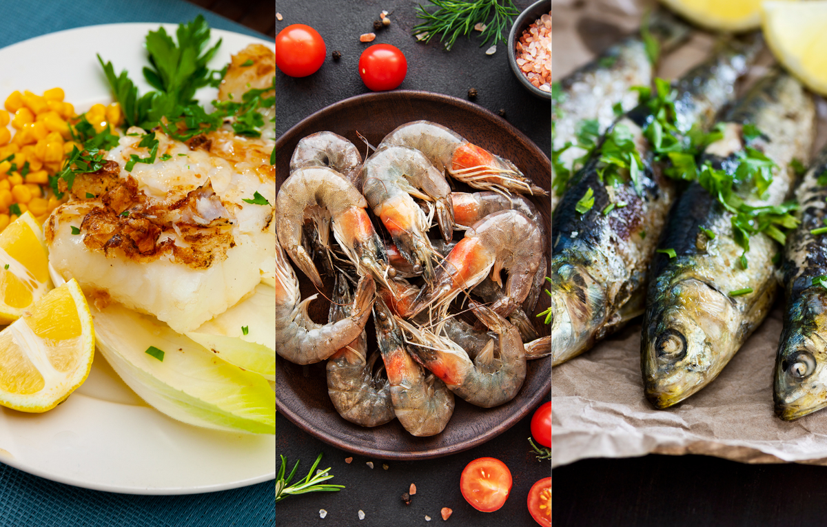 SPRING LOADED COLLECTION – Captain Haddock Seafood Market