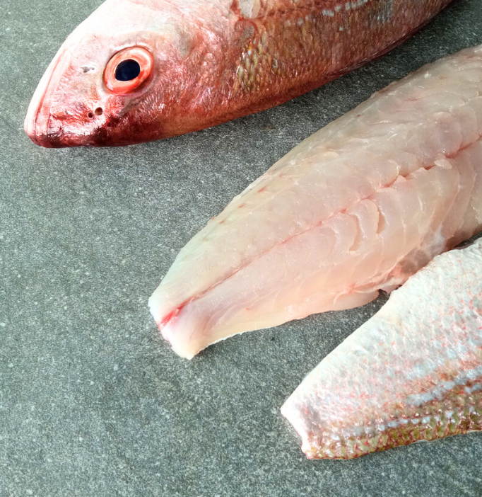 Silver Fish Fillets FRESH – Captain Haddock Seafood Market