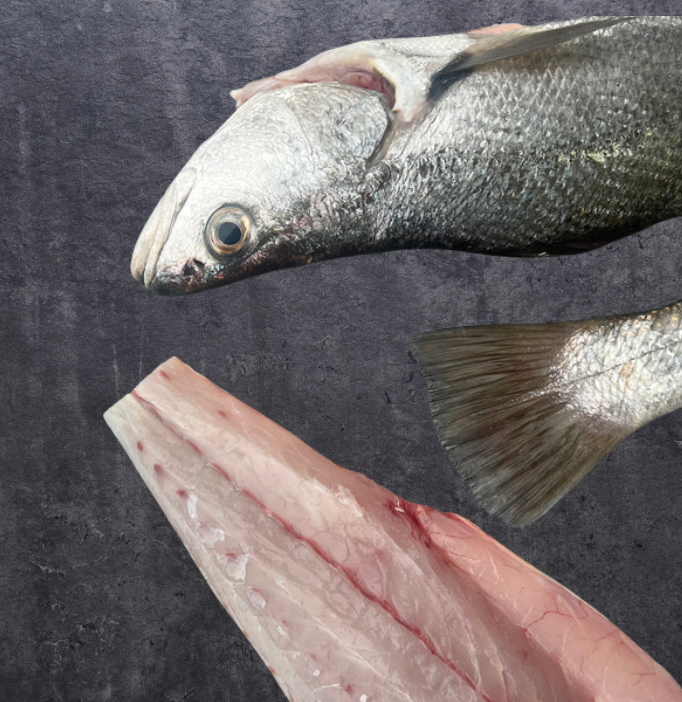 Kabeljou Fillets Frozen - LARGE - INDIVIDUALLY VACUUM SEALED FILLETS ...