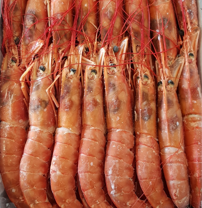 Argentinian Head On Prawns L2 (Large) 20/30 prawn p/kg - R262.50 p.kg ...