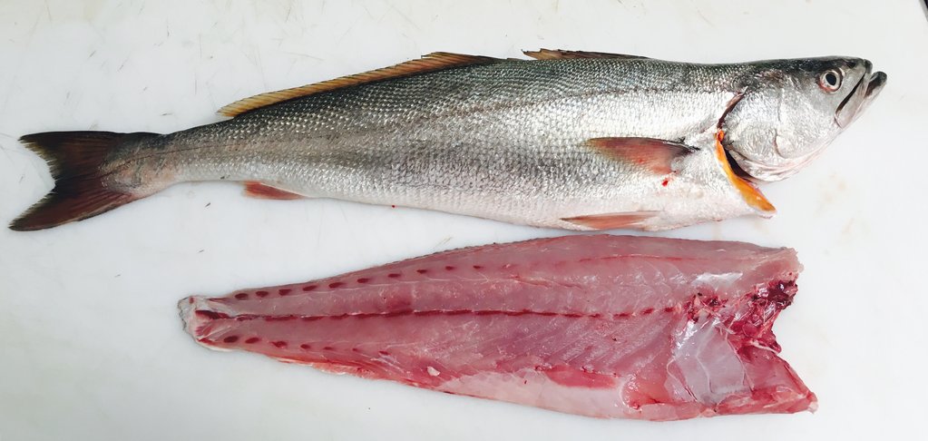 Cape Salmon FRESH - Filleted and Portioned - PLEASE ENQUIRE ON AVAILAB ...